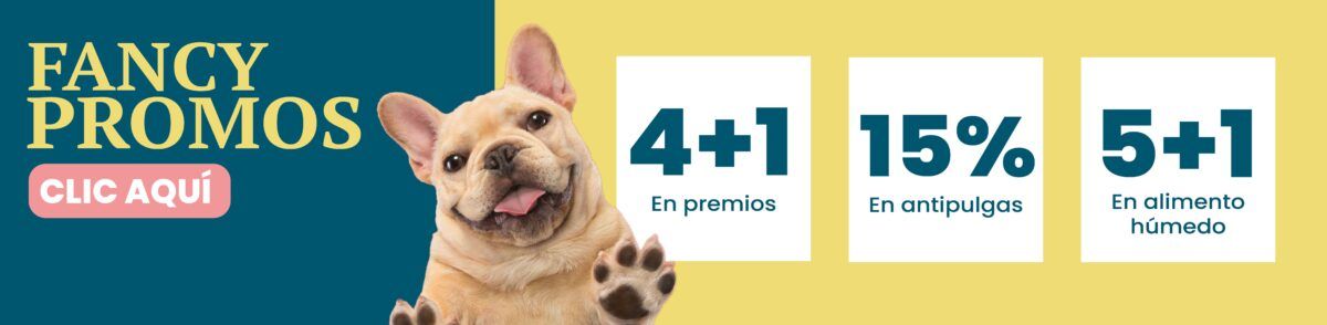 Fancy Pets - Tienda online de mascotas