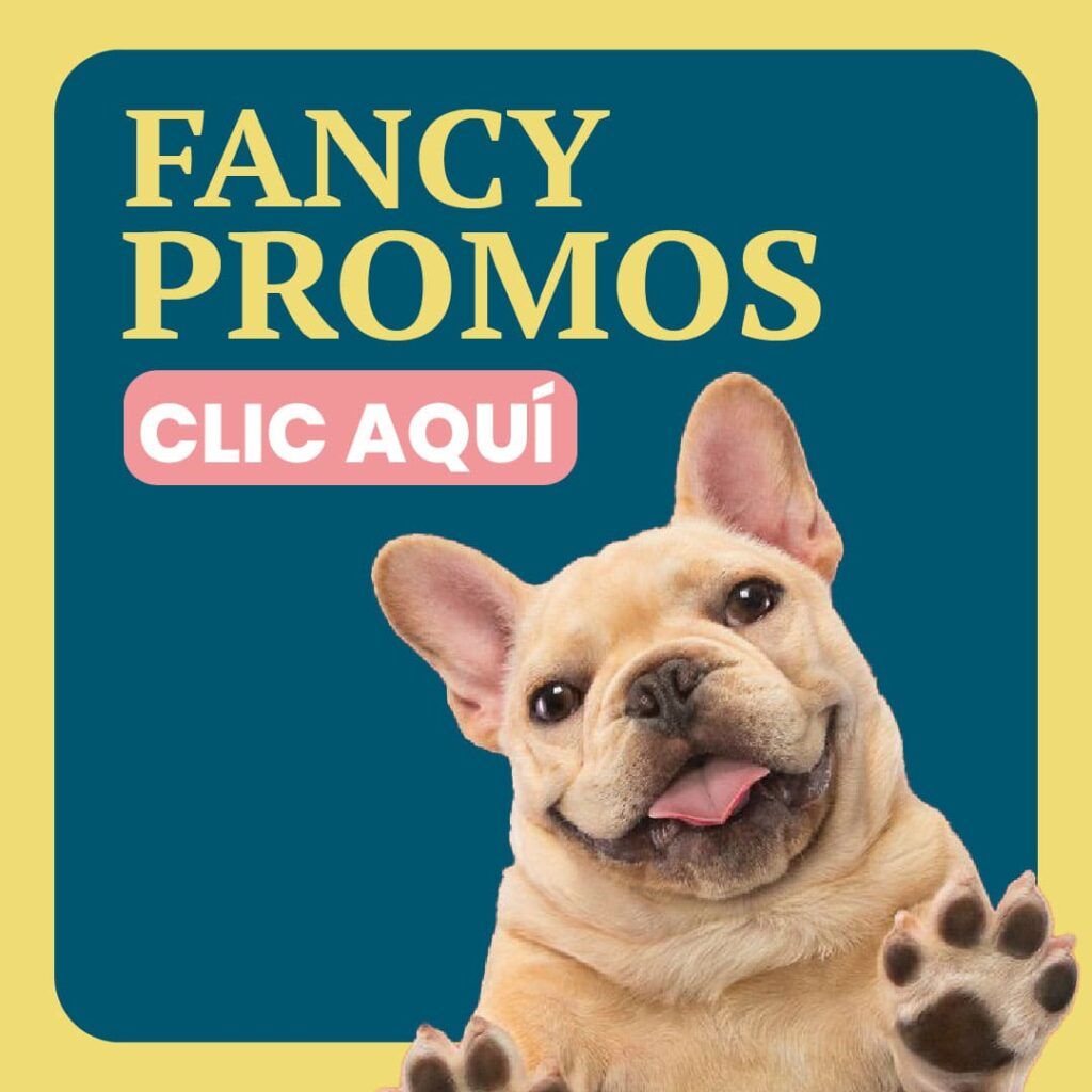 Fancy Pets - Tienda online de mascotas