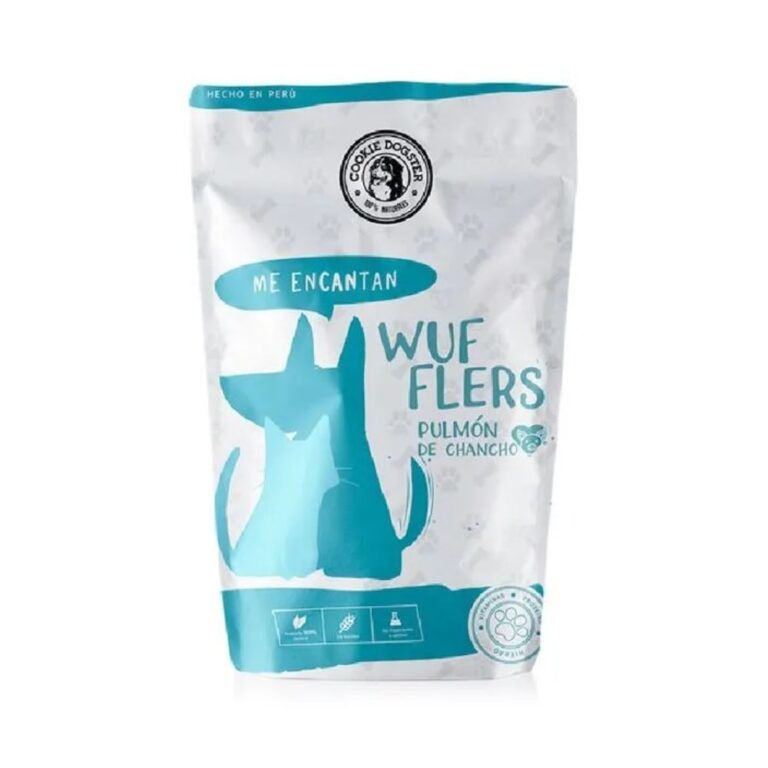 5 formas inteligentes de mantener hidratado a su perro este verano ...