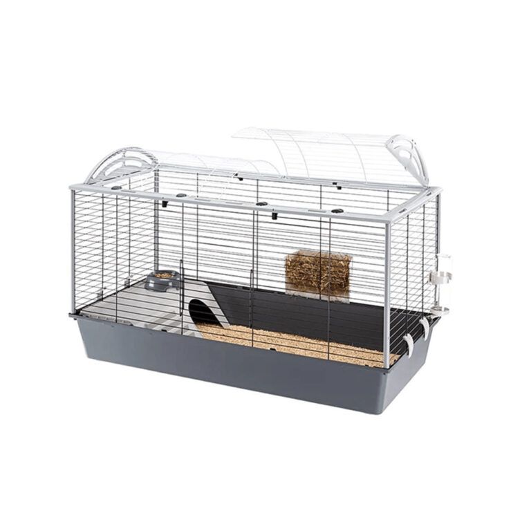 Fancy Pets - Tienda online de mascotas