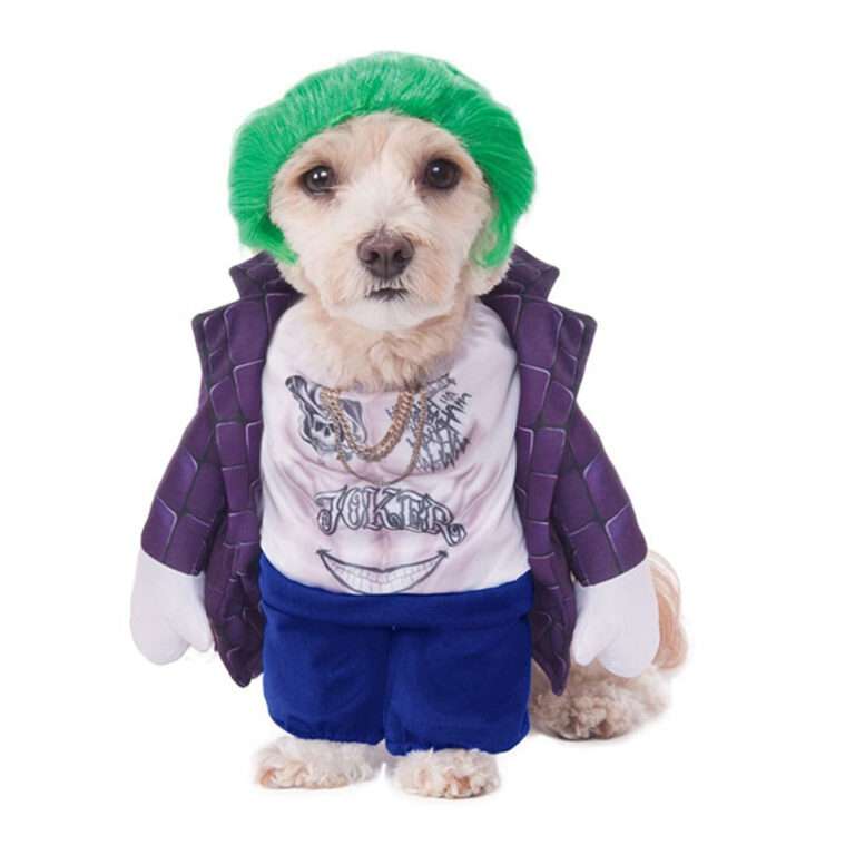 Rubie's Disfraz para Perro Joker - Fancy Pets